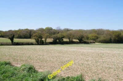 Photo 6x4 Farmland by Jeffery's Copse Hatch Warren c2013 | eBay UK