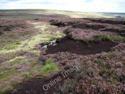 Photo 6x4 Black Grough on Grains Moss Dunford Bridge c2010 | eBay UK