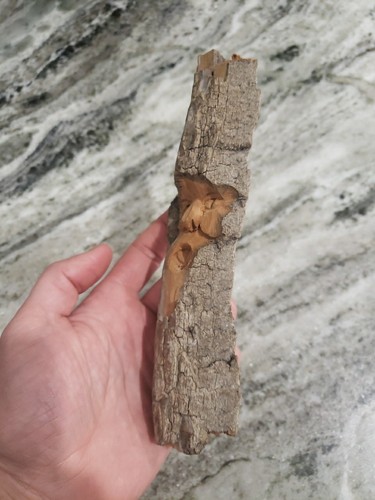 Carved Wood Tree Bark Man Face Head Mouth Craft Art Whimsical Forrest ...