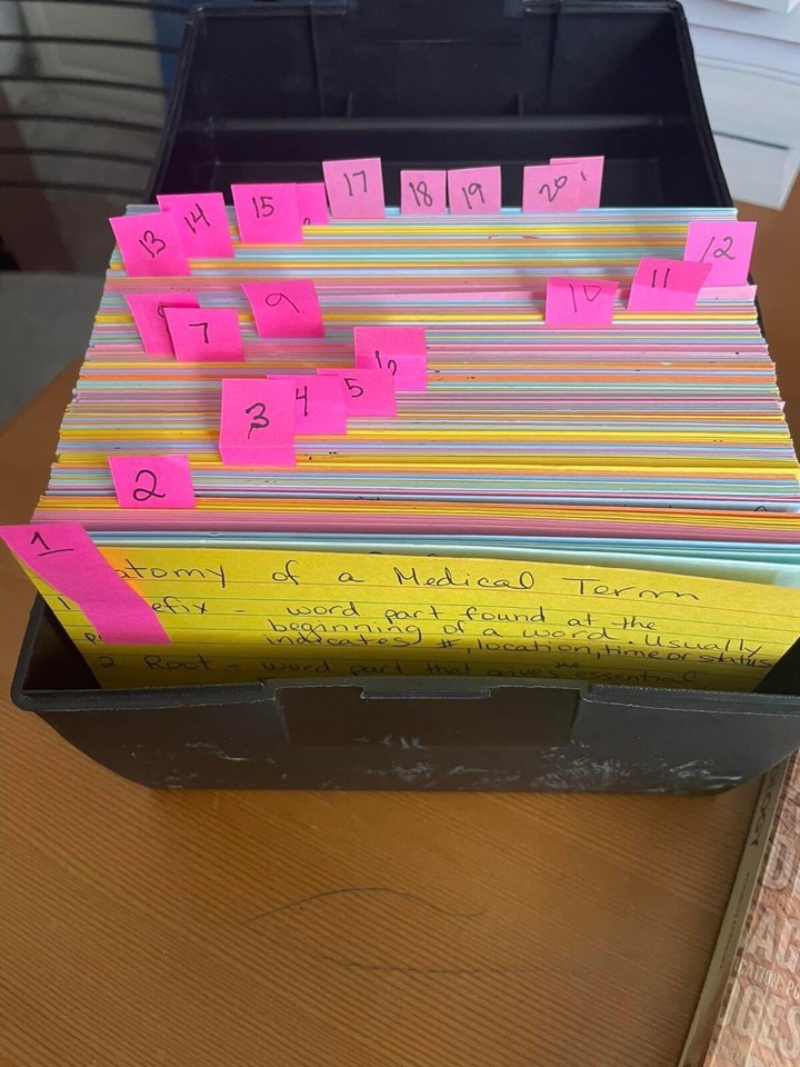 An Illustrated Guide to Veterinary Medical Terminology 4th Edition ...