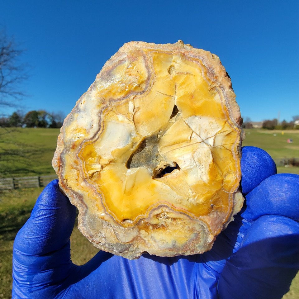 Kentucky Agate Geode - Estill County - Gold, Blue, Purple and Bonus ...