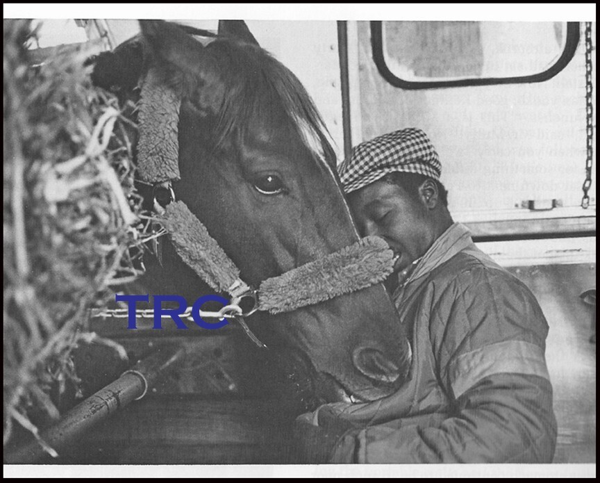 SECRETARIAT & EDDIE SWEAT VANNING TO AIRPORT - ORIGINAL 1973 8X10 PHOTO ...