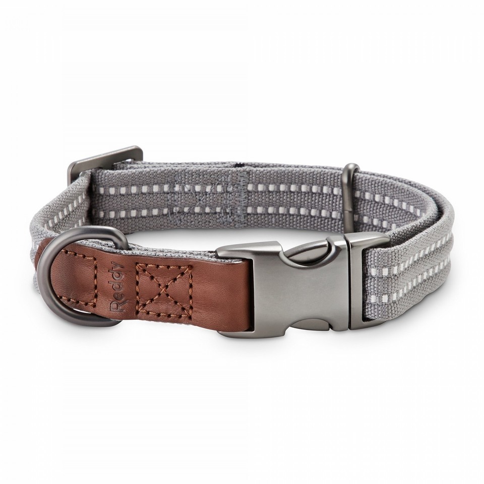 Reddy Grey Webbed Dog Collar, Medium, Gray | eBay