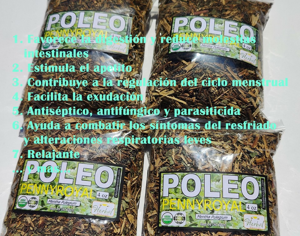 Poleo 4oz Menta poleo Te Mentha pulegium pennyroyal pennyrile penny ...