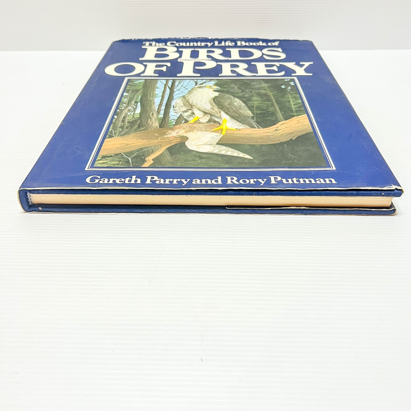 Birds of Prey by Gareth Parry, Rory Putman (Hardback, 1981) for sale ...