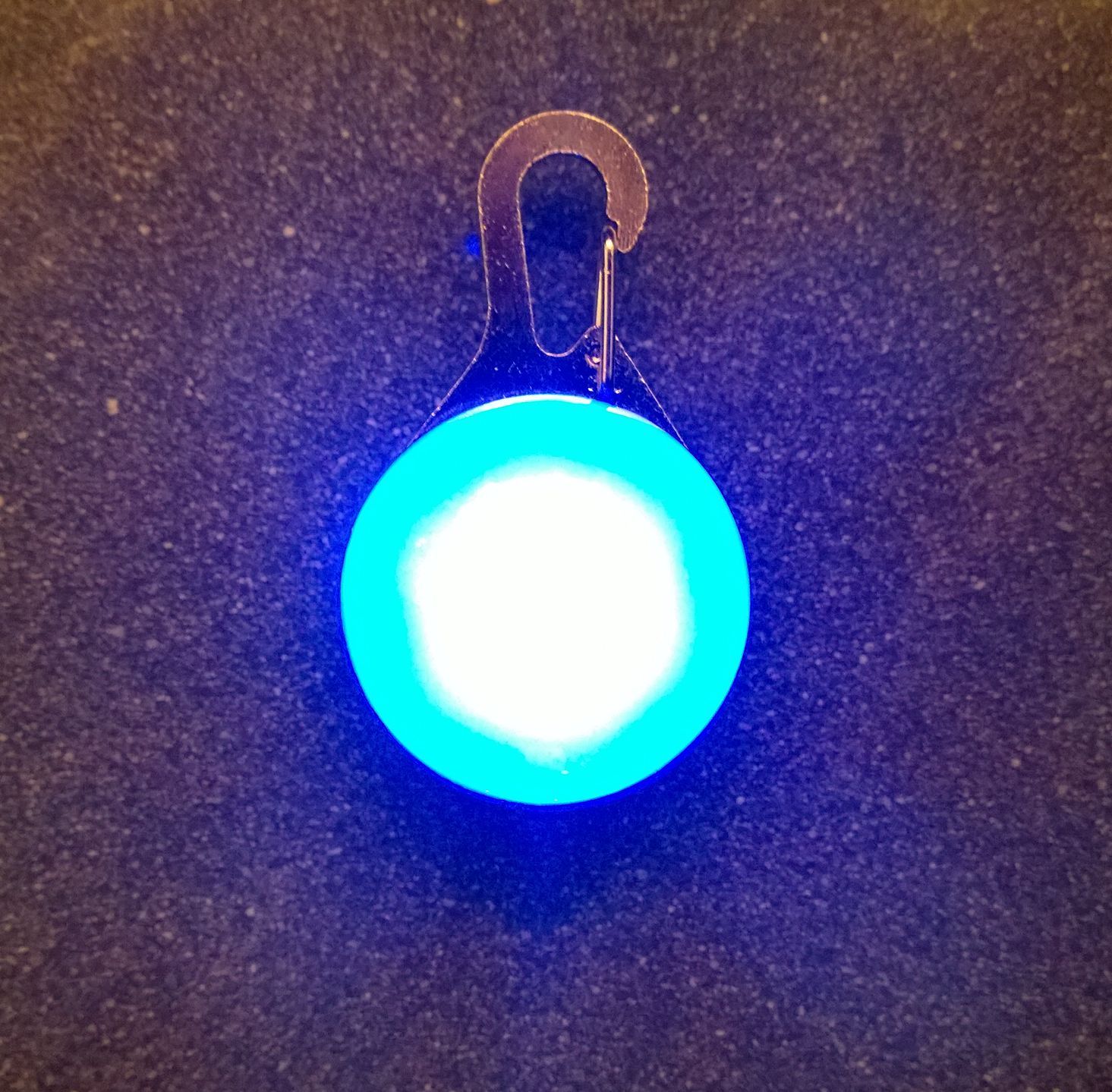 Light up LED tag for dogs, kids, bags, night, clip on, multi flashing ...