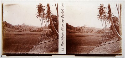 Martinique.Antilles Française.Piton du Carbet.Volcan.Stereo plaque ...