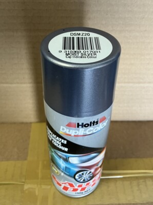 Dupli-Color Touch-Up Moist Silver Spray Paint 150g - DupliColor DSMZ20 ...