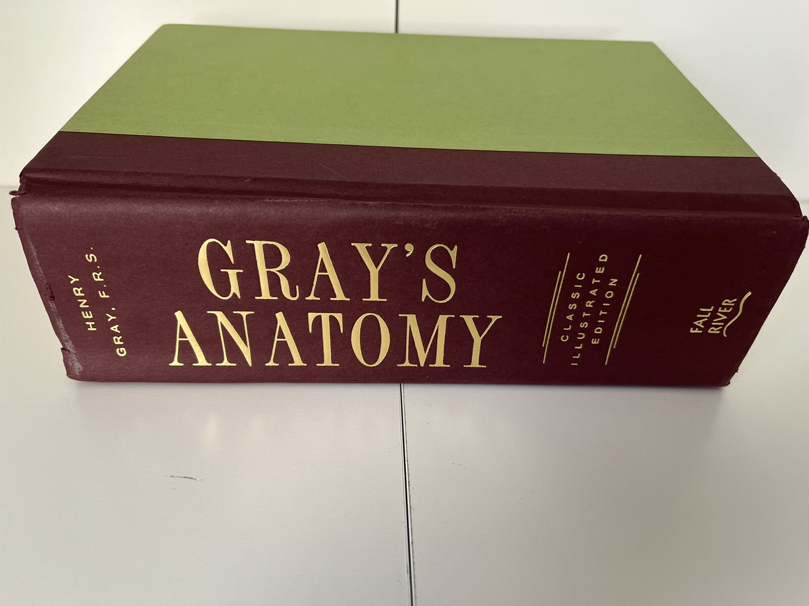 vintage medical book, Anatomy of The Human Body, Gray's Anatomy, by ...
