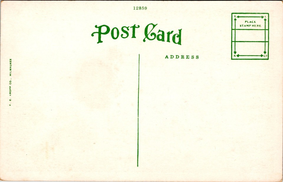 Postcard Augusta Georgia Bon Air Hotel (Destroyed by Fire 1921, Rebuilt ...