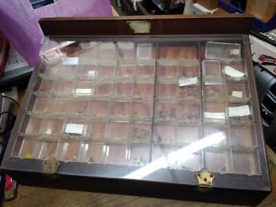 Vtg Fenwick Counter Top Tied Fly Display Case 100+ Flies Hing Lid 23x15 ...
