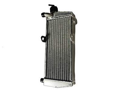Radiator For Kart Rotax Max /Junior max Go-Kart 125 PRE 2011 2012 2013 ...