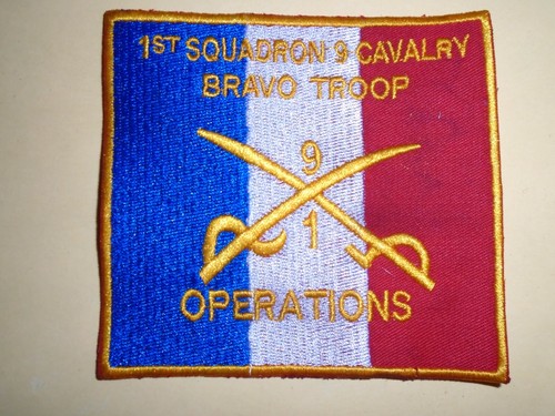 US 1st Squadron 9th Cavalry Regiment BRAVO TROOP OPERATIONS Vietnam War ...