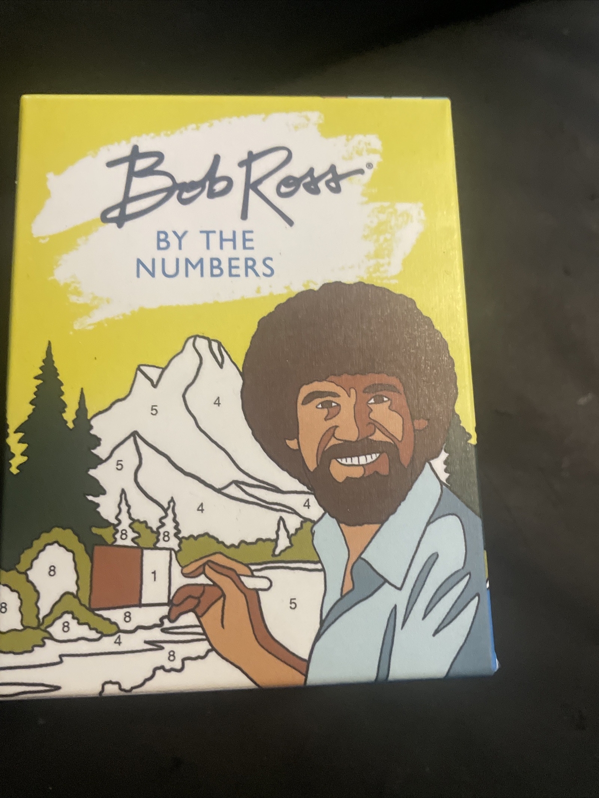 Bob Ross Mini Paint by Numbers set with instructions, canvas, paint ...