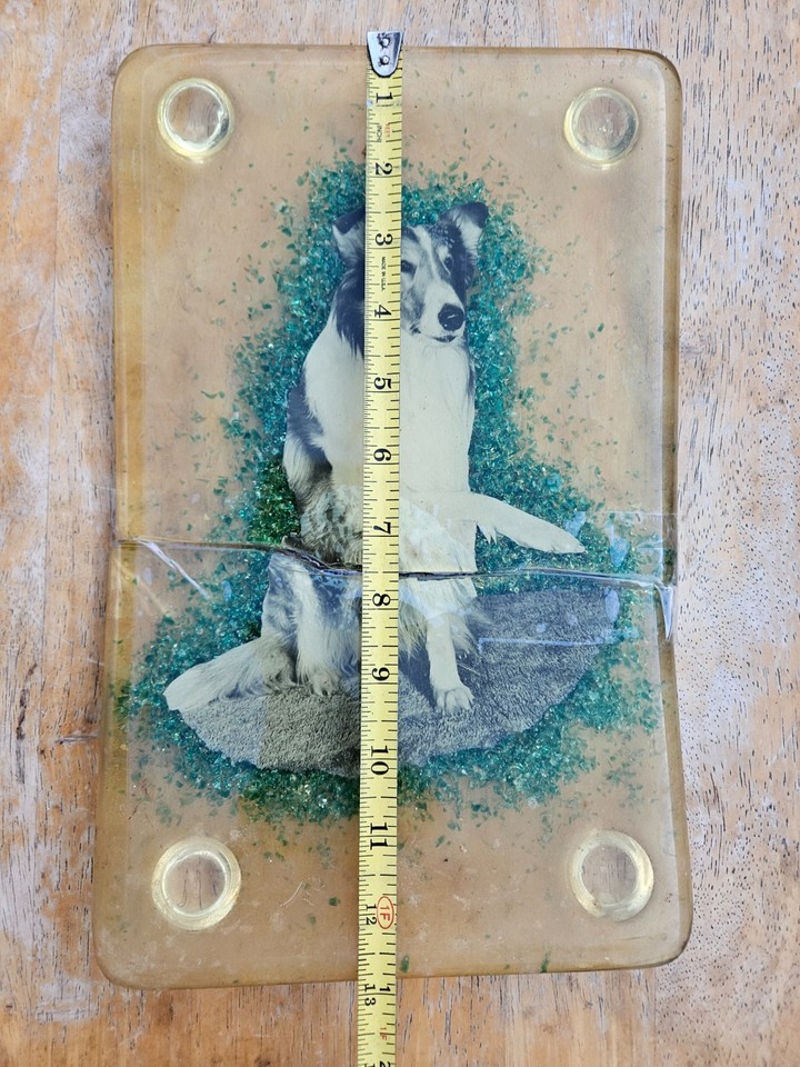 VINTAGE LASSIE COLLIE DOG MGM TV STAR RESIN TRIVET OWNED RUDD ...