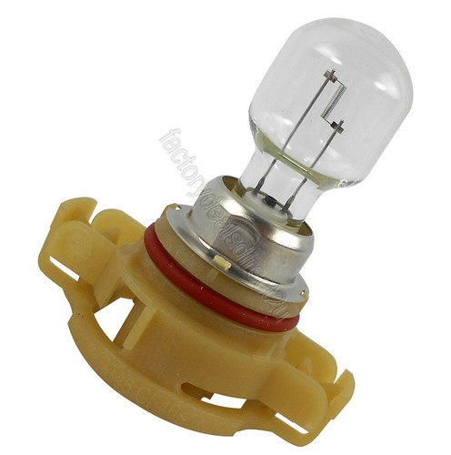 Genuine PHILIPS Standard Fog Lamp Globe PSX24W 12V - Single Bulb ...