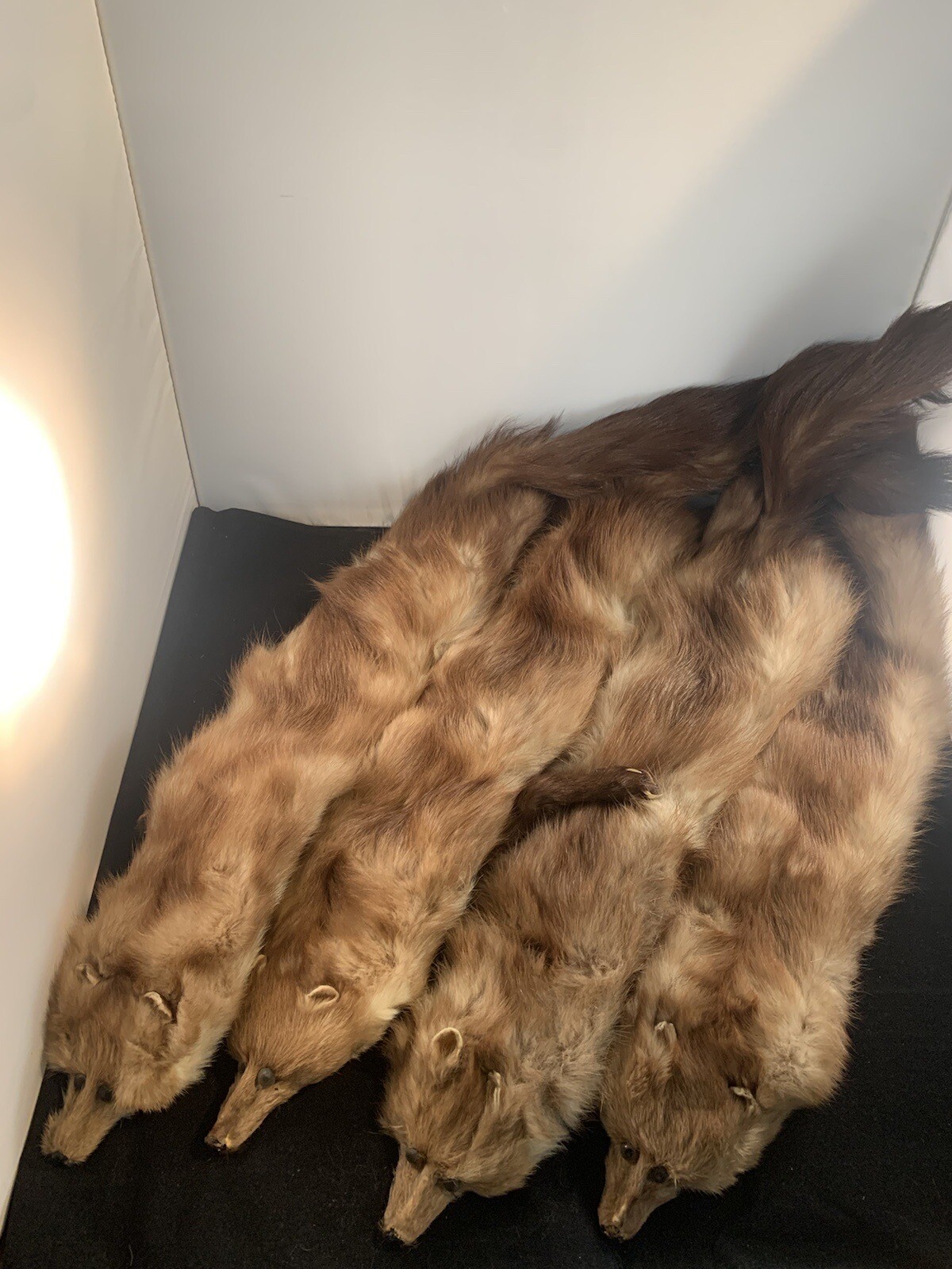4 REAL VINTAGE FOX FUR ANIMAL BODY FEET TAIL FACE &… - Gem