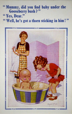Postcard Seaside Comic Saucy Risqué Gooseberry Bush Constance Donald ...