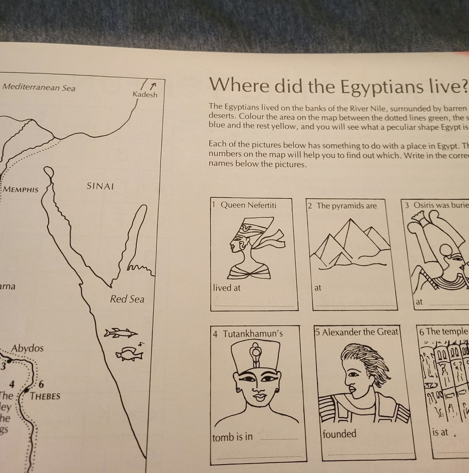 The Ancient Egyptians Activity Book for Classroom Use 9780714109411| eBay