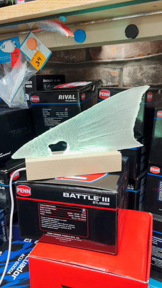 MultiColor Red Fish Fin Light | eBay