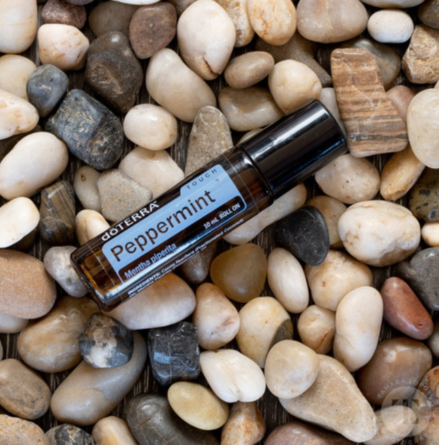 doTERRA Peppermint Touch 9ml Therapeutic Grade Essential Oil ...