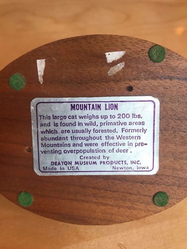 DEATON MUSEUM STUDIO Small Resin MOUNTAIN LION Figurine on WOODEN BASE ...