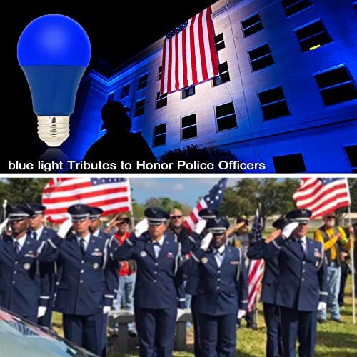 Led Blue Light Bulbs 4 Pack A19 E26 Base Blue Bulb 9w 60w Equivalent ...
