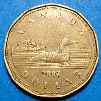 2003 New Effigy CANADA 1 DOLLAR LOONIE COIN | eBay