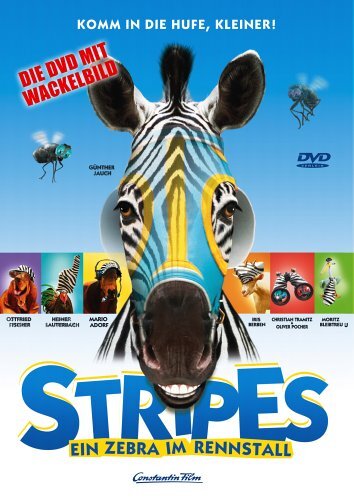 Stripes - Ein Zebra im Rennstall (DVD) Bruce Greenwood Hayden ...