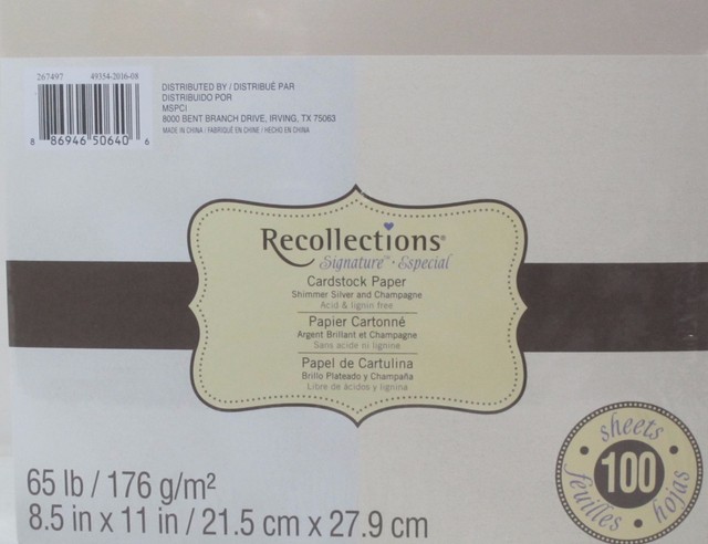 Recollections Cardstock Paper 2 Colors Shimmer Silver and Champagne 100 ...