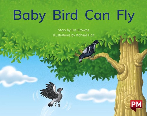 Baby Bird Can Fly by Eve Browne (English) Paperback Book | eBay