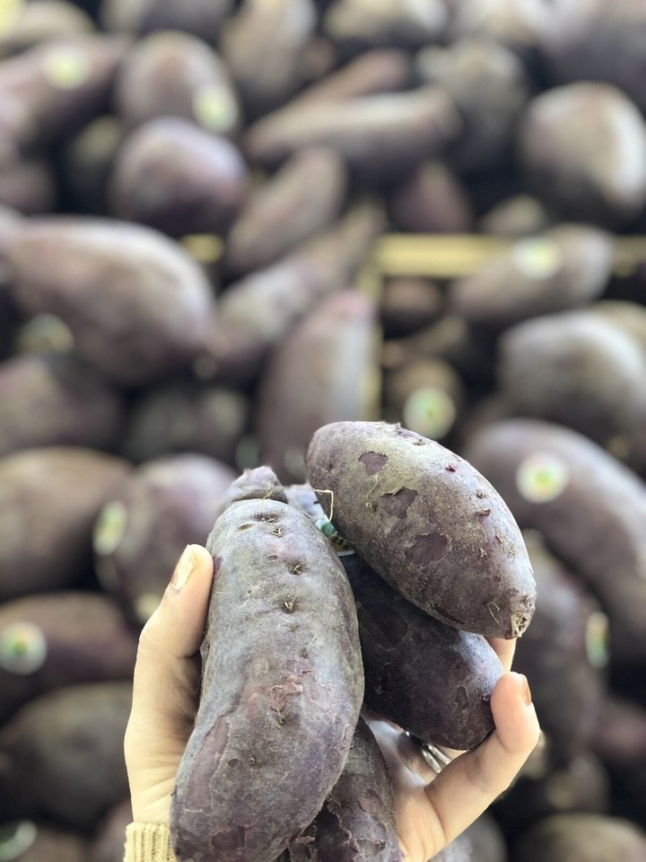 Japanese Purple Sweet Potatoes Beni Imo Planting or Cooking Non GMO | eBay