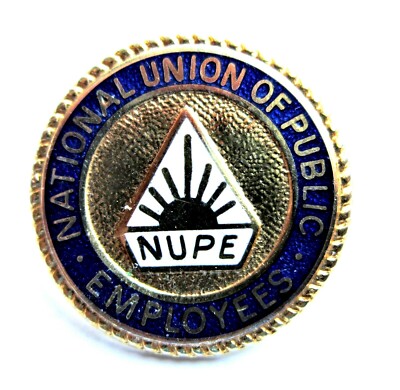 NATIONAL UNION OF PUBLIC EMPLOYERS PIN ENAMEL BADGE NUPE | eBay UK