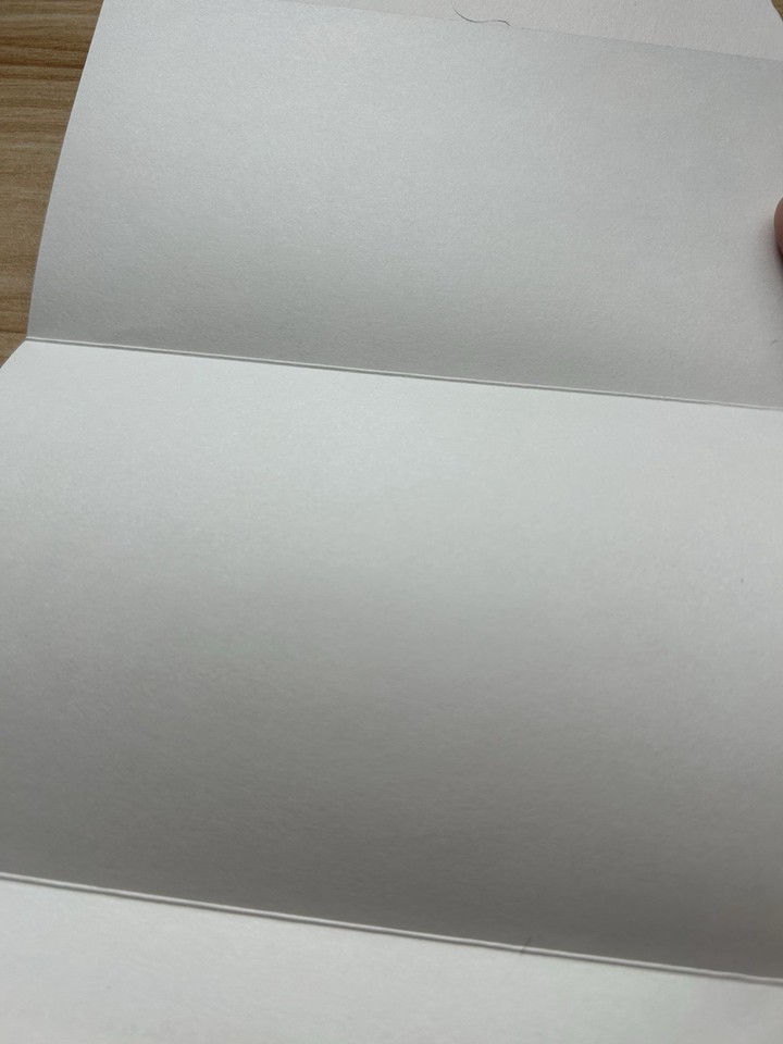 Lisa Frank Vintage Postalette & Cutout | eBay