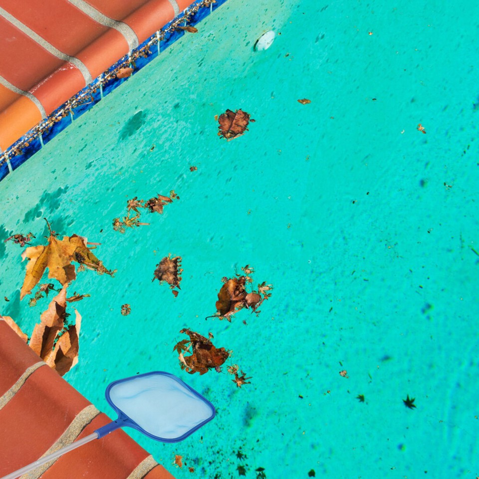 Plastic Net Rake Swimming Pool Leaf Rake Pool Silt Net Pool Leaf Net ...