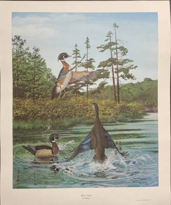 RAY HARM WOOD DUCK (VERTICAL RISE)$240.00 VALUE-#216 OF 500- ONLY 500 # ...