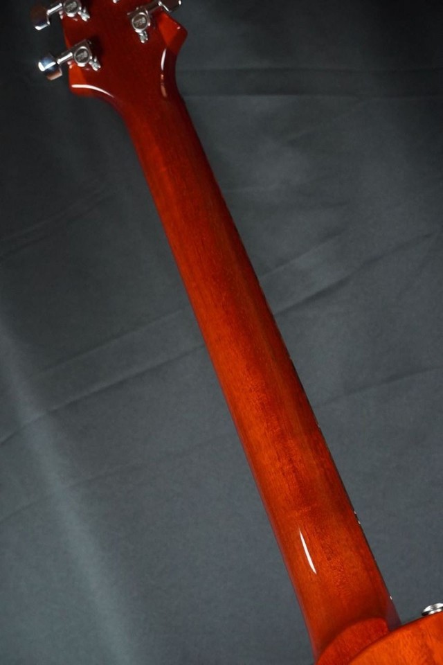 Paul Reed Smith PRS 20Th Anniversary Single Cut Trem 10Top /Mccarty ...