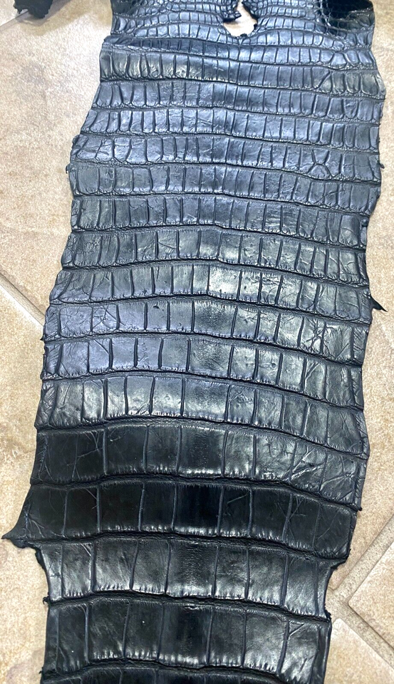 American Alligator Hide 5' Black Matte 30cm WHOLE Real Gator Hide 4363 ...