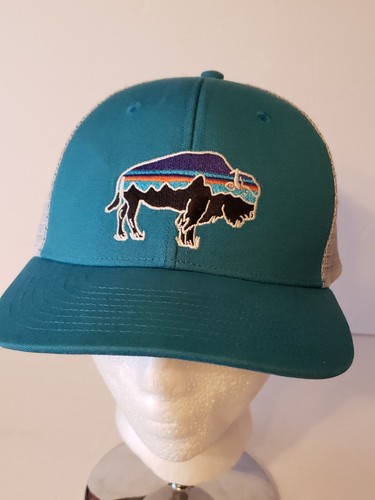 Patagonia Fitz Roy Bison Lopro Trucker Teal Green Snapback Hat Cap | eBay