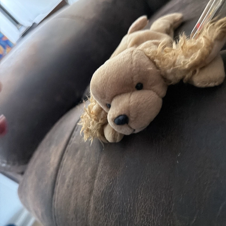 Spunky Beanie Baby for sale | eBay