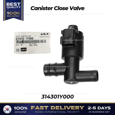 ⭐Genuine⭐ Canister Close Valve 314301Y000 for Hyundai Elantra Ioniq Kia ...