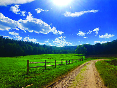 CANVAS Summer Road by Michelle Deegan 12x16 Wall Art Reproduction | eBay