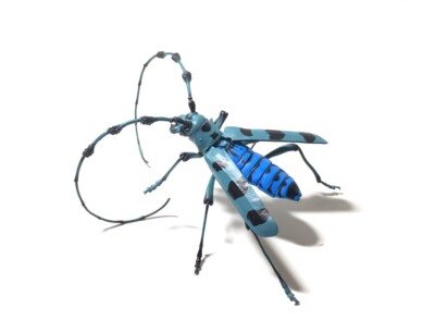 Bandai Japan Exclusive Namco Rosalia Batesi Longhorn Beetle Insect ...
