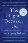 The Light Between Us: Stories from Heaven. Lessons for the Living ...