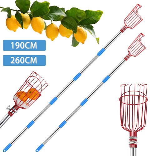 Fruit Picker Stick Telescoping Pole Stainless Steel Picker Basket ...