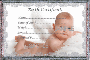 LACEY FRAMED BIRTH CERTIFICATE/CERTIFICATES 4 REBORN FAKE BABY approx 7 ...