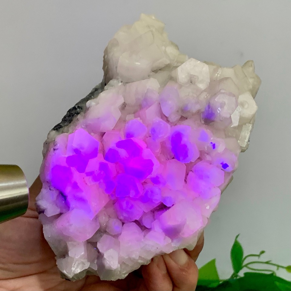 1.72LB Natural Transparent White Fluorescent Calcite Crystal Quartz ...