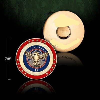 TSA TRANSPORTATION SECURITY ADMINISTRATION 15 YEAR LAPEL PIN | eBay