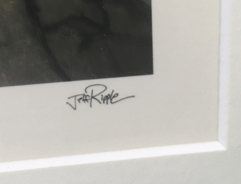 Jeff Ripple Signed Framed Photograph “New Turkey Key II”. | eBay