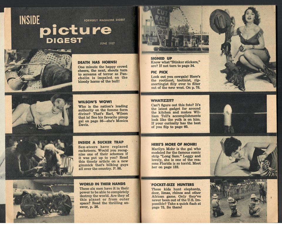 Lot of 6 Men's Cheesecake Digest Magazines PIC, VUE, FOTO-RAMA, Etc ...